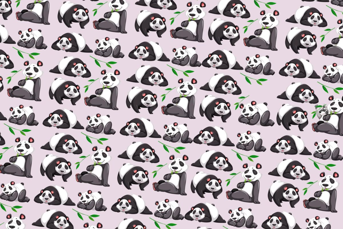 Visual test: find the hidden detail in this image and reveal your ...